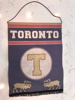 X Company Auction: Medium Toronto baseball banner 1 | TV, eh?